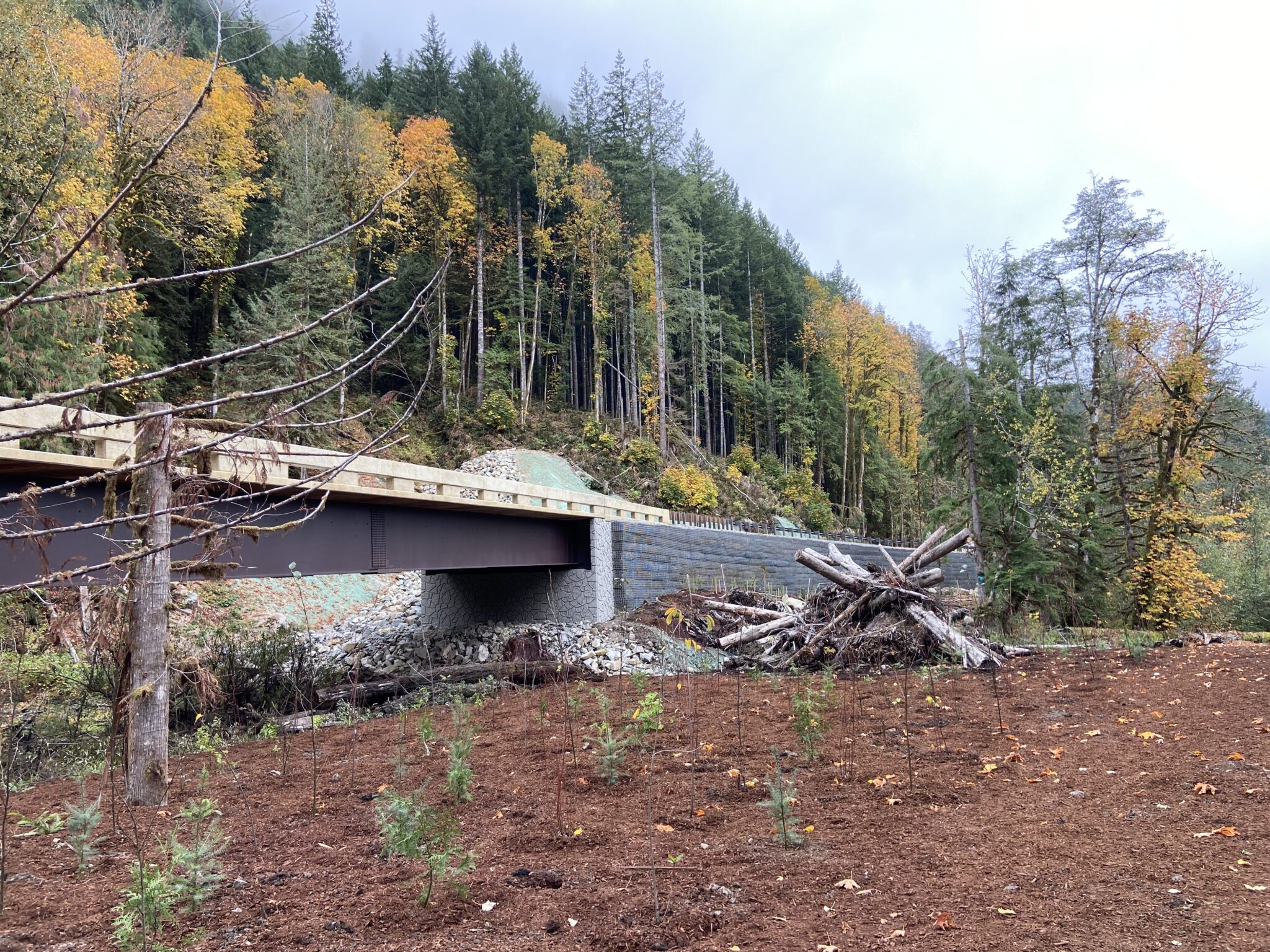 POY Award Winners – APWA Washington Chapter